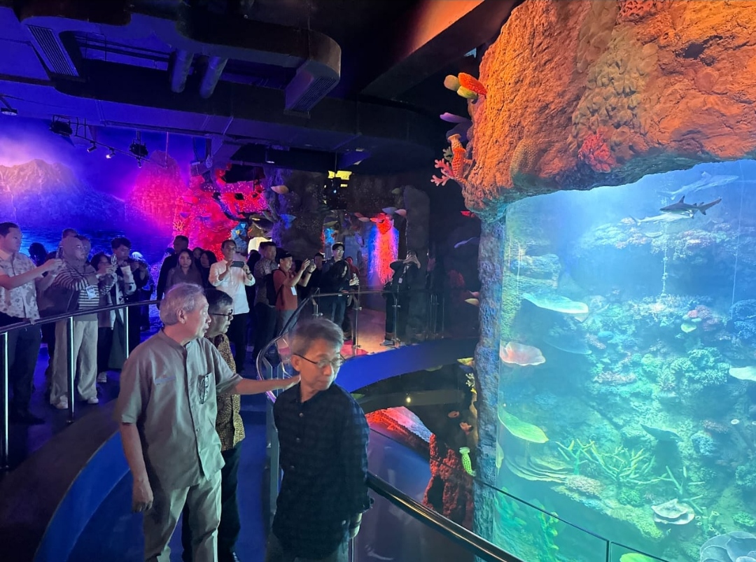 BXSea, Destinasi Wisata ‘Journey Aquarium’ Terpanjang di Indonesia ...