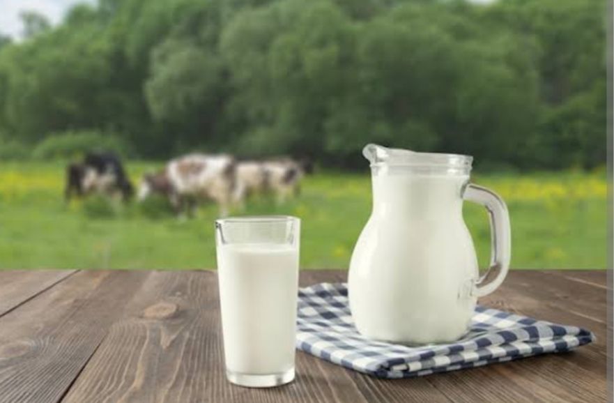 Mengupayakan Peningkatan Produksi Susu Sapi Lokal Menuju Kemandirian ...